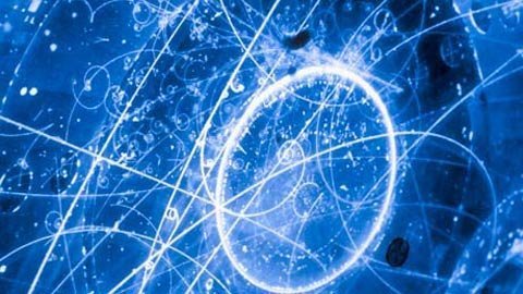 Neutrino giúp giải thích phản vật chất?