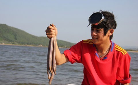 Bắt... rồng đất, nghề 'đào ra tiền'